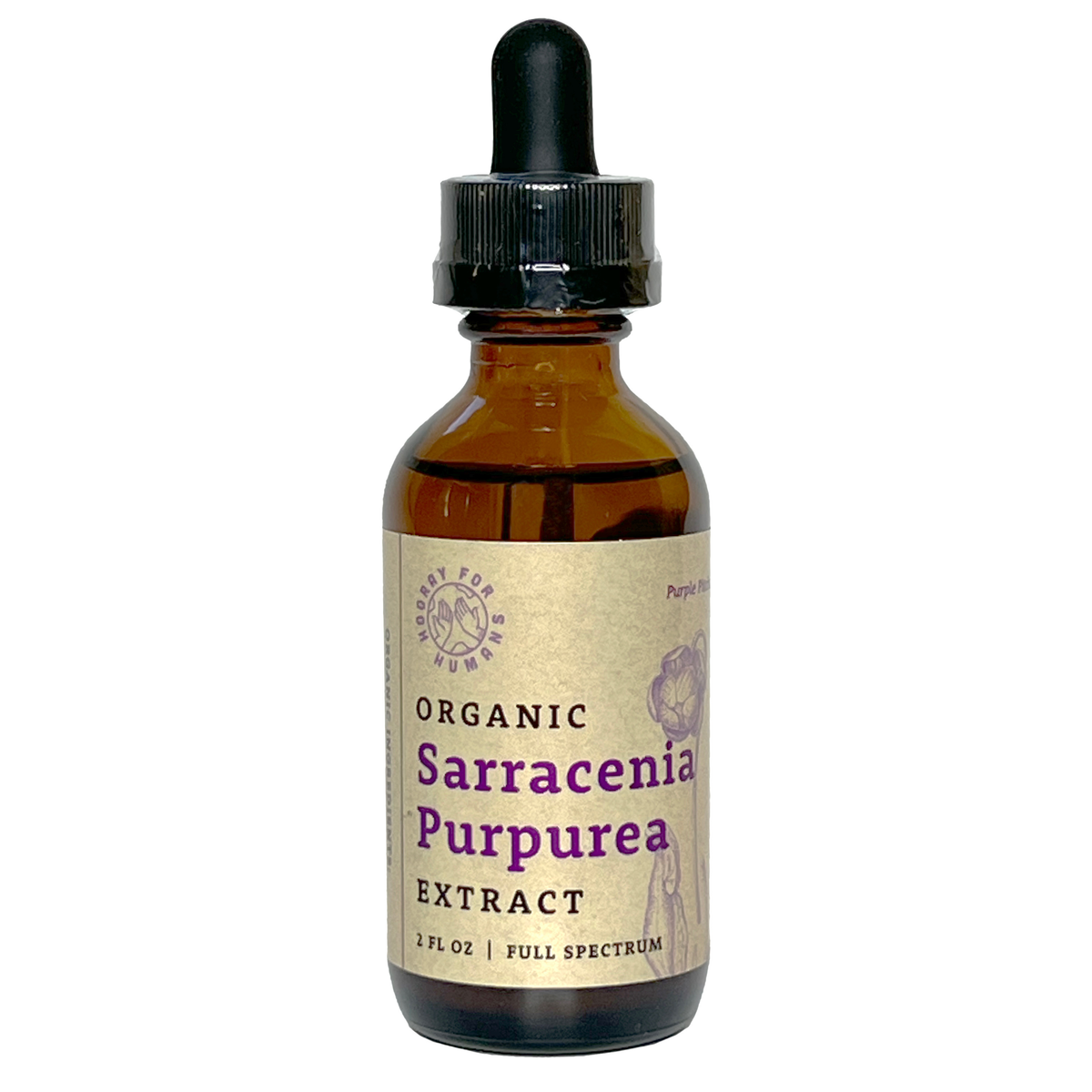 Sarracenia Purpurea Extract – Hooray for Humans